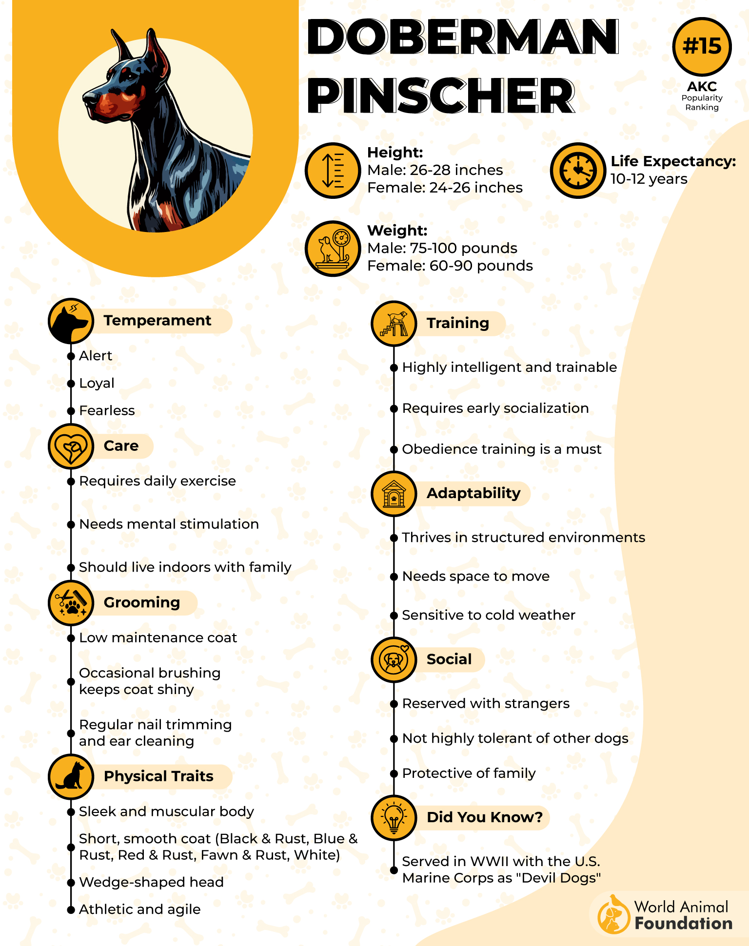 Top 10 Powerful Guard Dog Breeds For Ultimate Protection - TOP DOG SITE